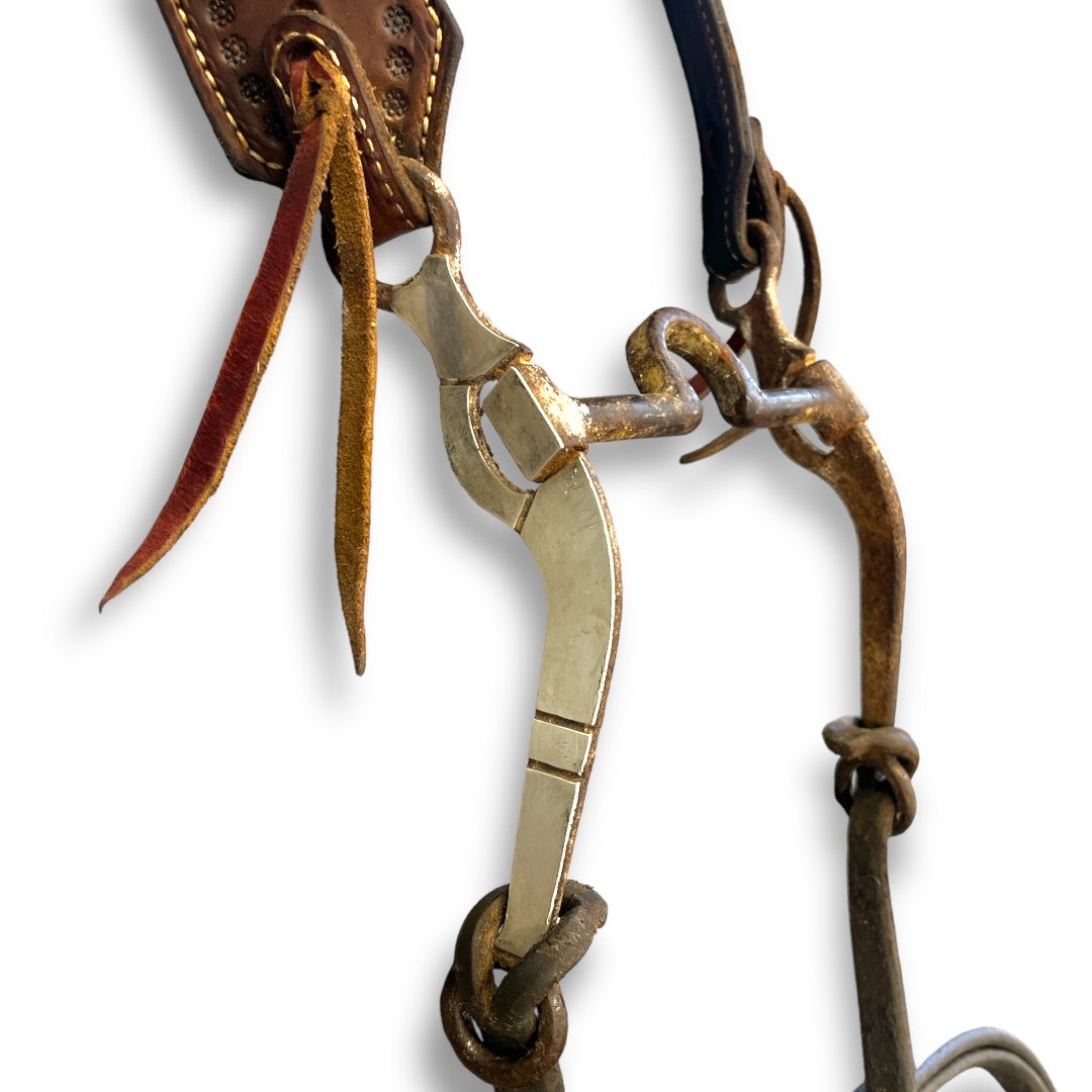Frank Principe Bit with Headstall and Reins, Bridle Set – Kootenay Tack